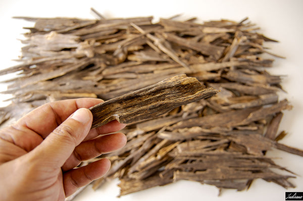 Agaru 1 | Agarwood | Oud Wood from Assam India | خشب العود الهندي - Indicana Oud