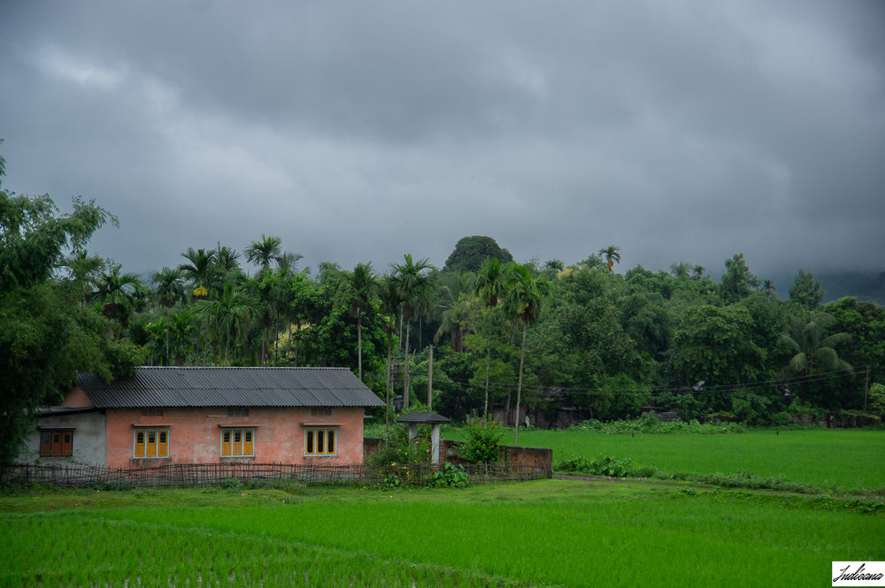 Pure Oud Oil and Wood from India | العود الهندي | Best Assam Oud